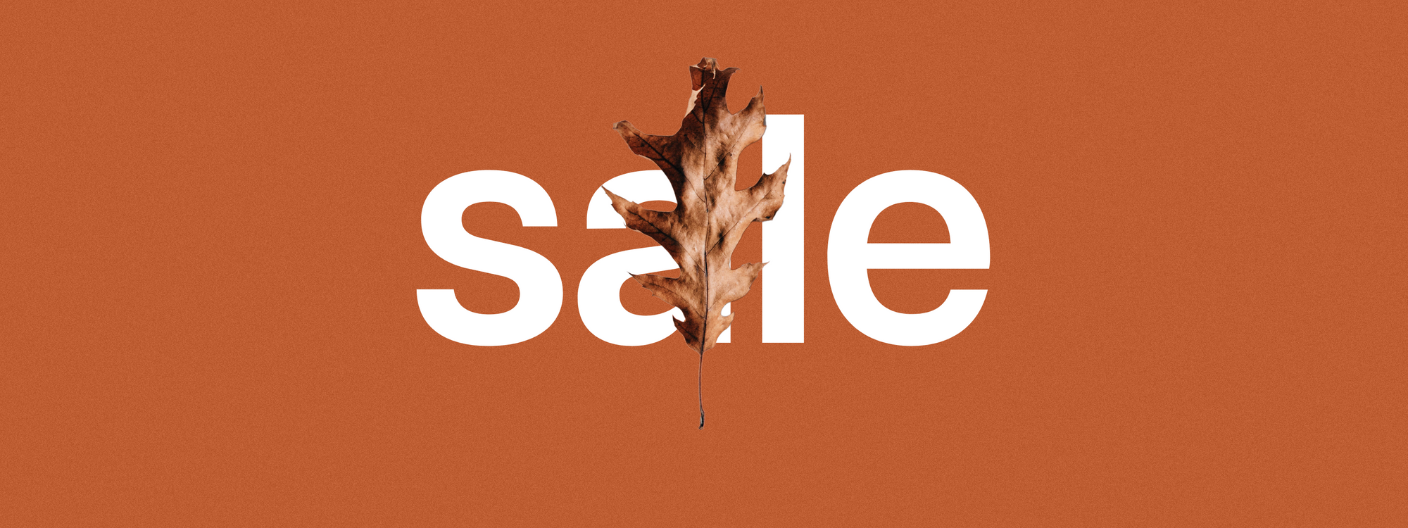 Shoe Chapter - Official Shop | We Ship Worldwide!